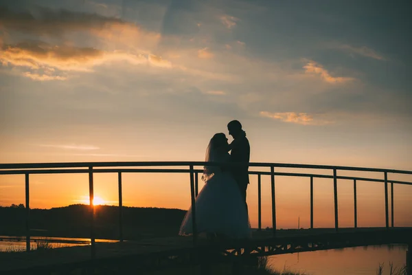 love the bride embrace on a bridge silhouette photo - Stock Image ...