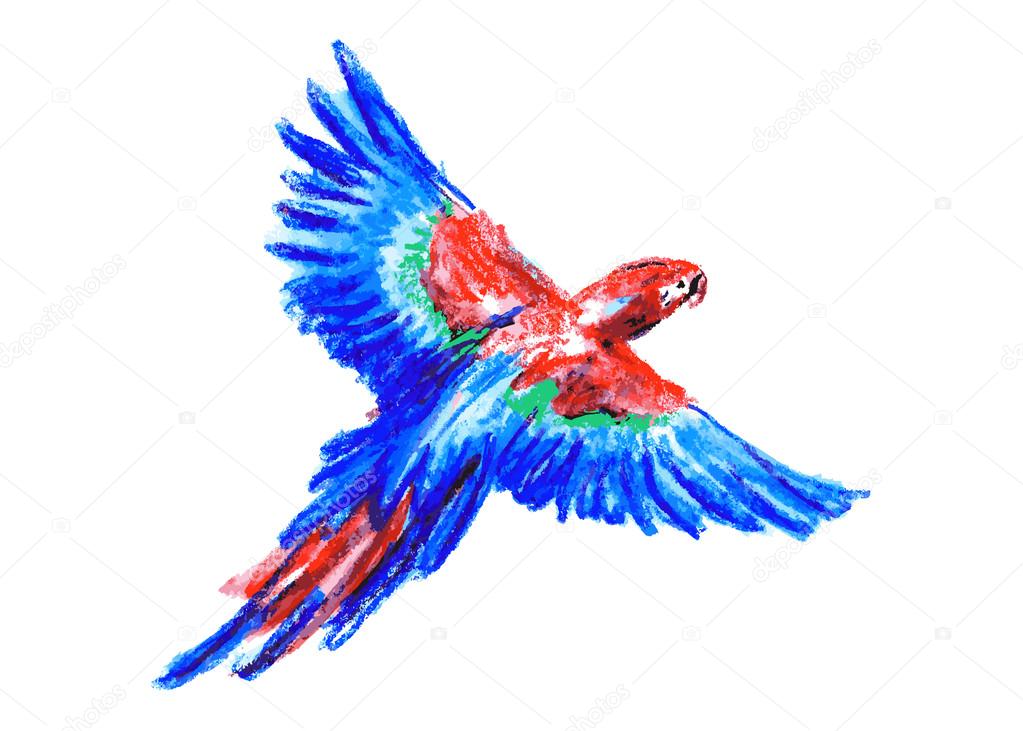 Stockillustratie van Tekening Ara door ©onot #69821599