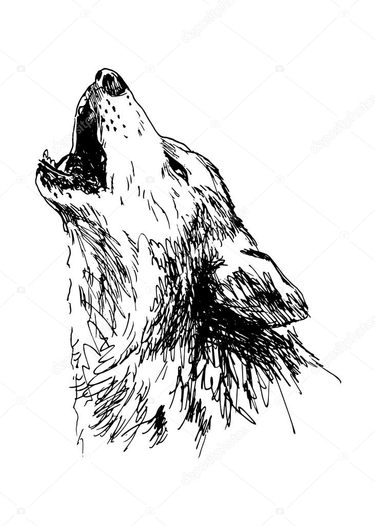 Sitting Howling Wolf Vector