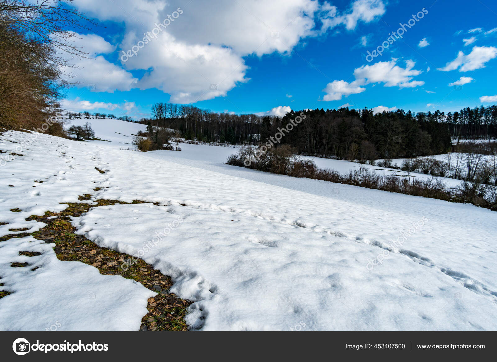 Beautiful Winter Hiking Path Resort Bermatingen Lake Constance — Stock ...