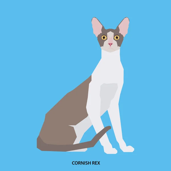 Cornish rex cat portrait Vector Art Stock Images | Depositphotos