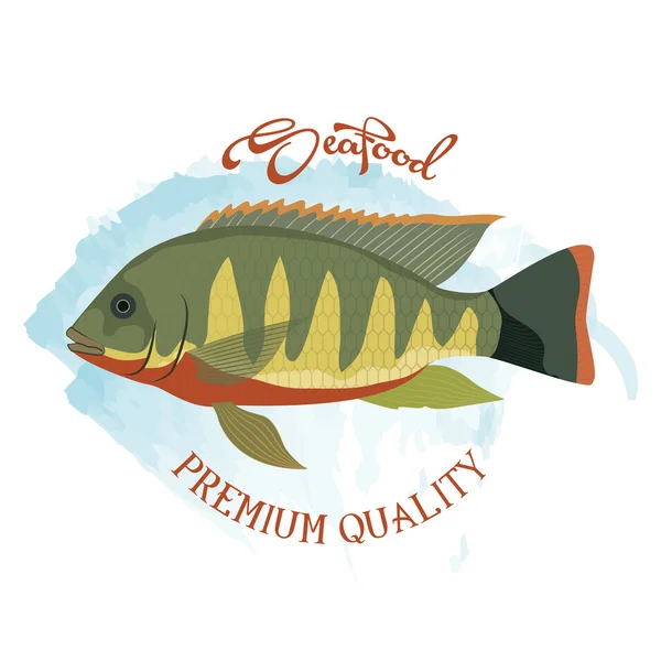 ᐈ Tilapia fish and label stock vectors, Royalty Free tilapia pictures ...