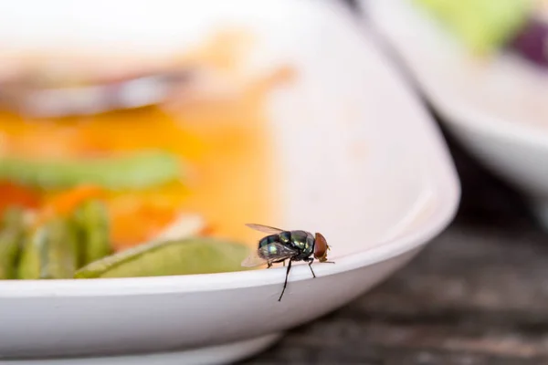 Flies on food Stock Photos, Royalty Free Flies on food Images ...