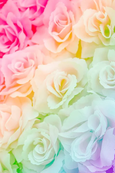 Rosas color pastel fotos de stock, imágenes de Rosas color pastel sin ...