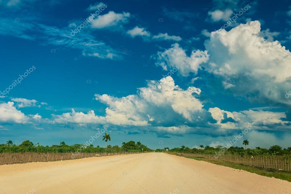 Tropical mountain forest, palm trees in sunlight. Sunset landscape at ...