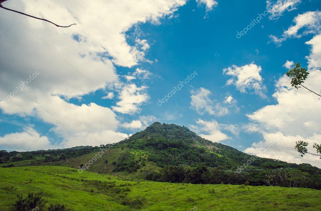 Tropical mountain forest, palm trees in sunlight. Sunset landscape at ...