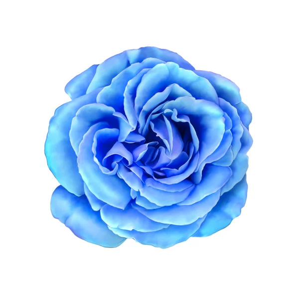 Blue Rose Corner Border