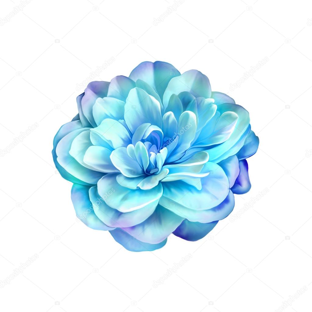 Blue Camellia Flower