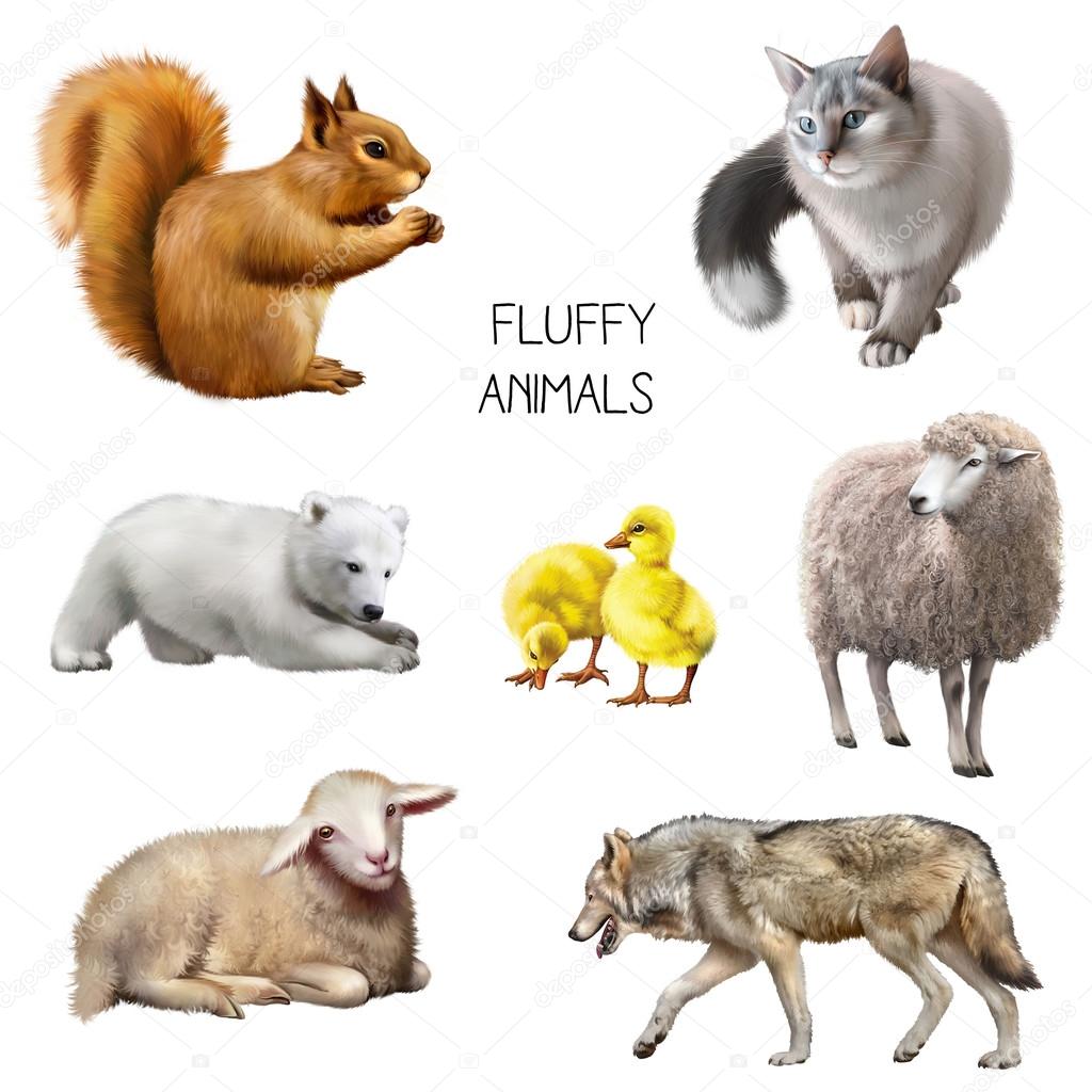 Really Fuzzy Animals