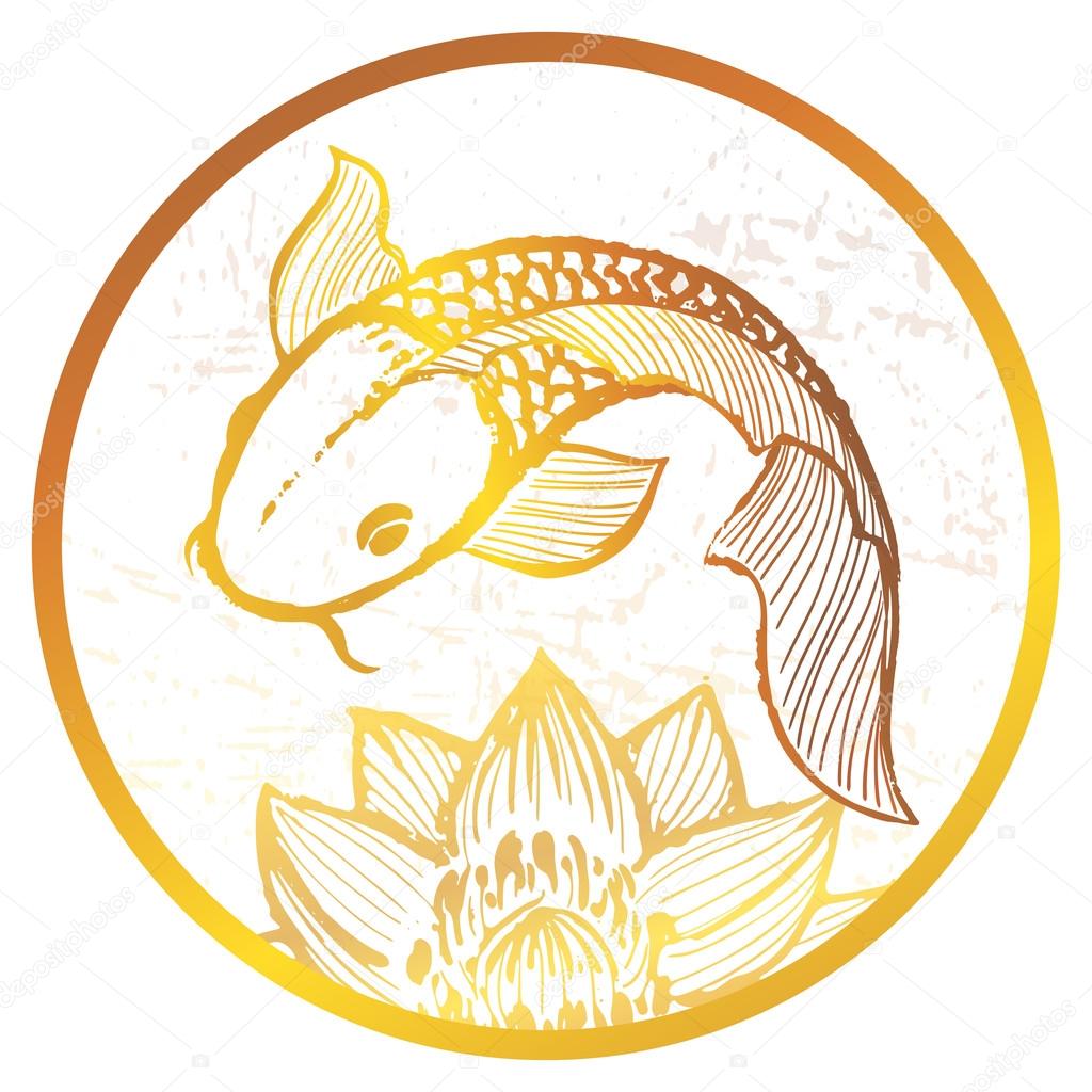 Ink hand drawn golden koi fish illustration Stock Vector by ©MarynaR ...