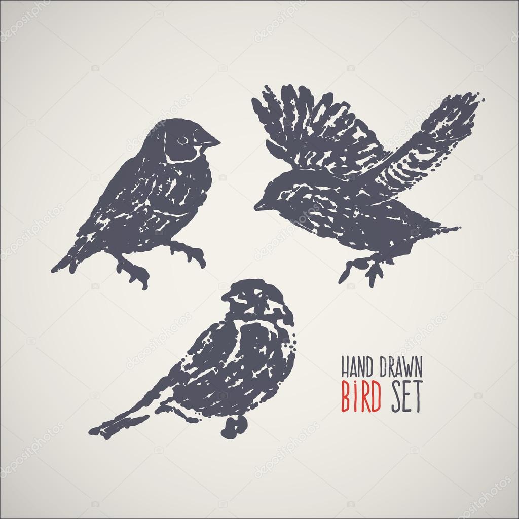 Ink hand drawn bird set Stock Vector Image by ©MarynaR #73727077