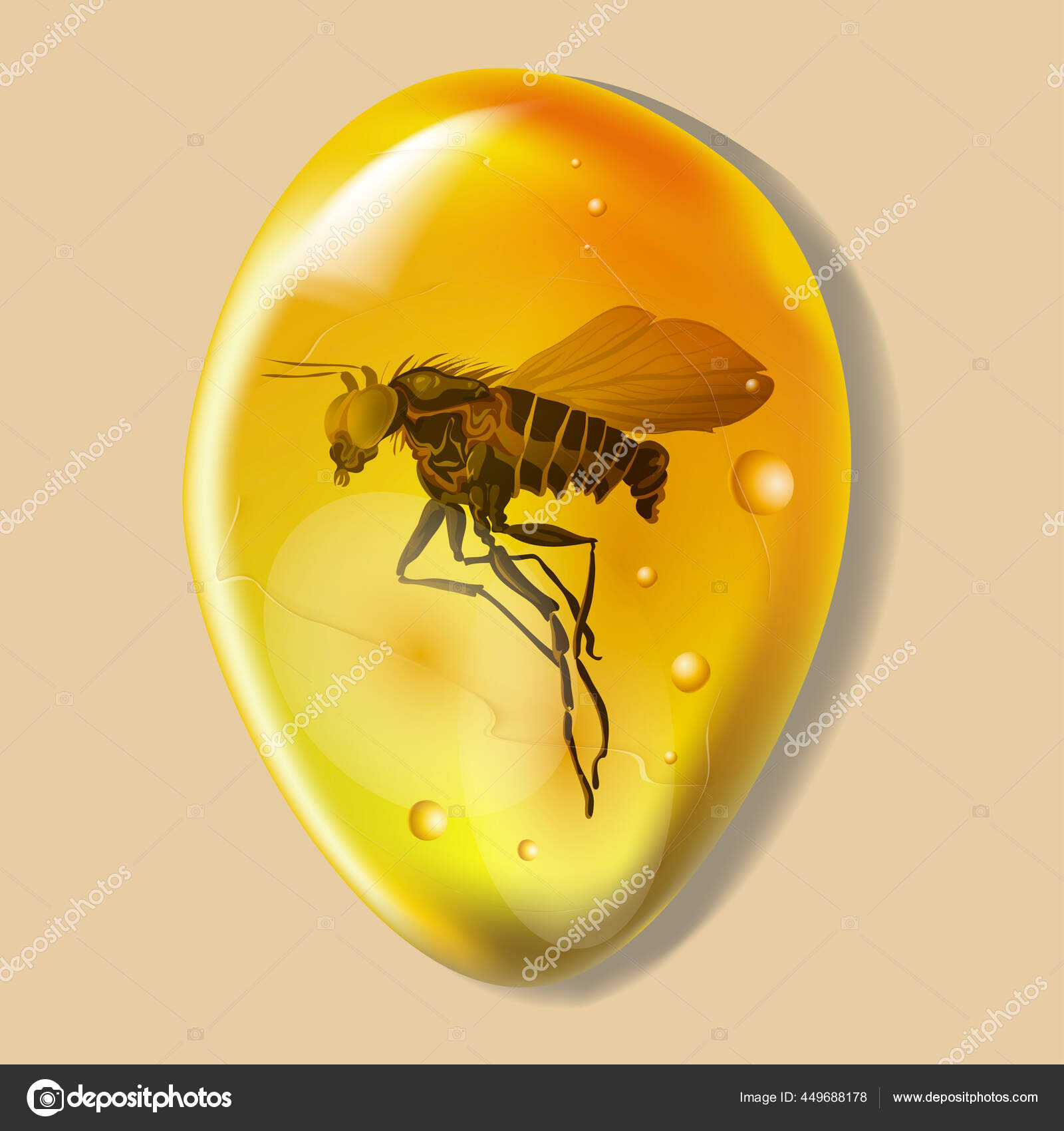 Amber stone with insect isolated on white background. Mosquito or flea ...