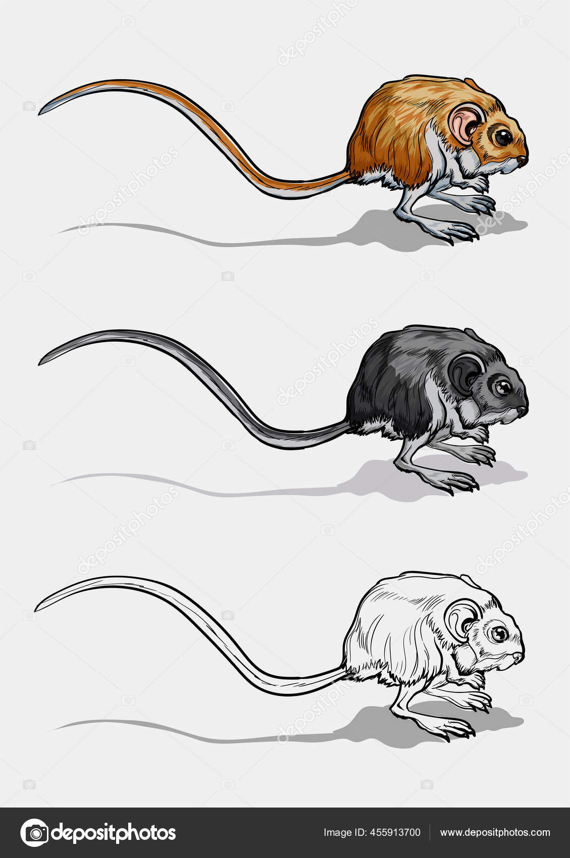 Pequeño Puente Ligero Una Jerboa Ratón Campo Con Una Cola Vector de ...