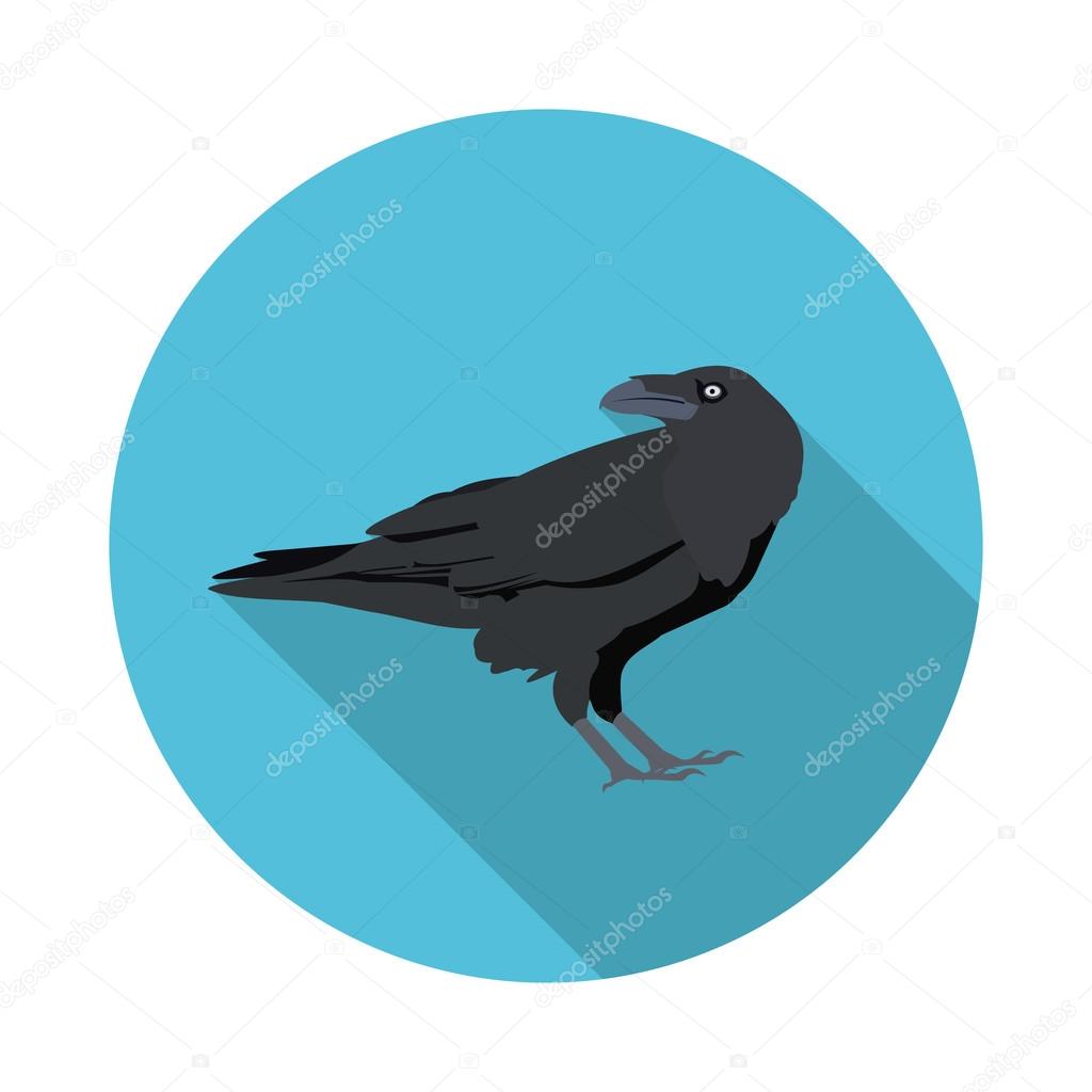 Flat icon Raven — Stock Vector © kira2517 #106591752