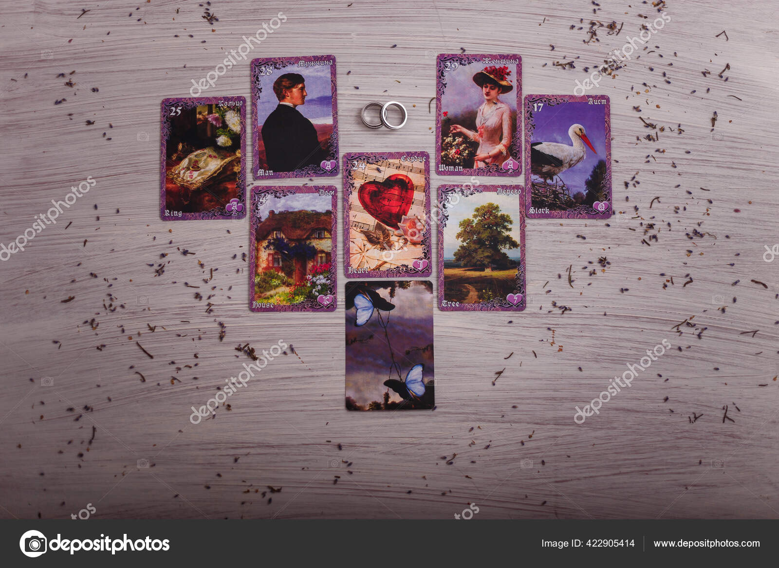 Divination Cards Alignment Heart Shape Love Family Men Women ...