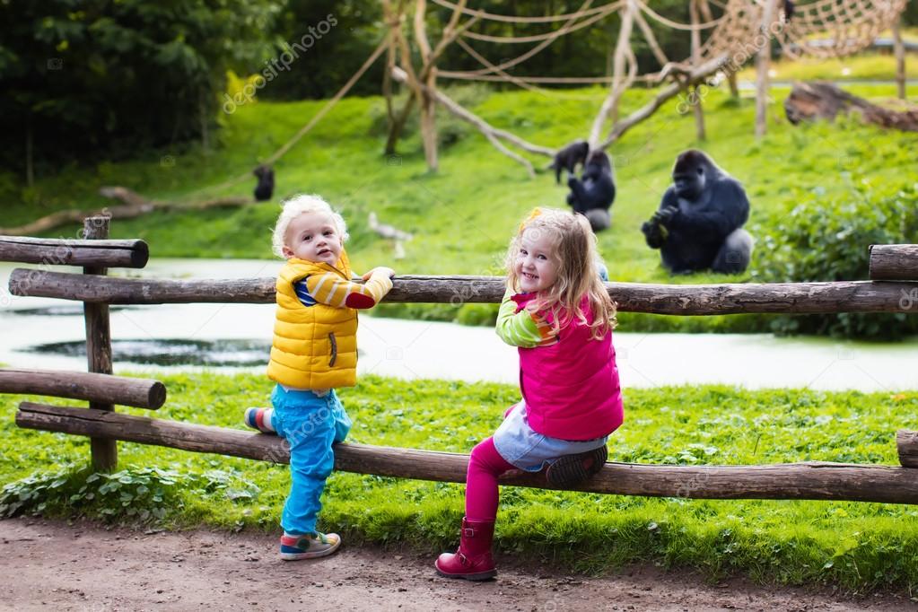 Ni os viendo animales en el zool gico 2024