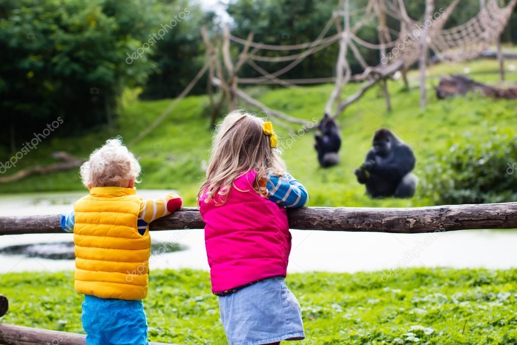 Niños viendo animales en el zoológico — Foto de stock © FamVeldman ...