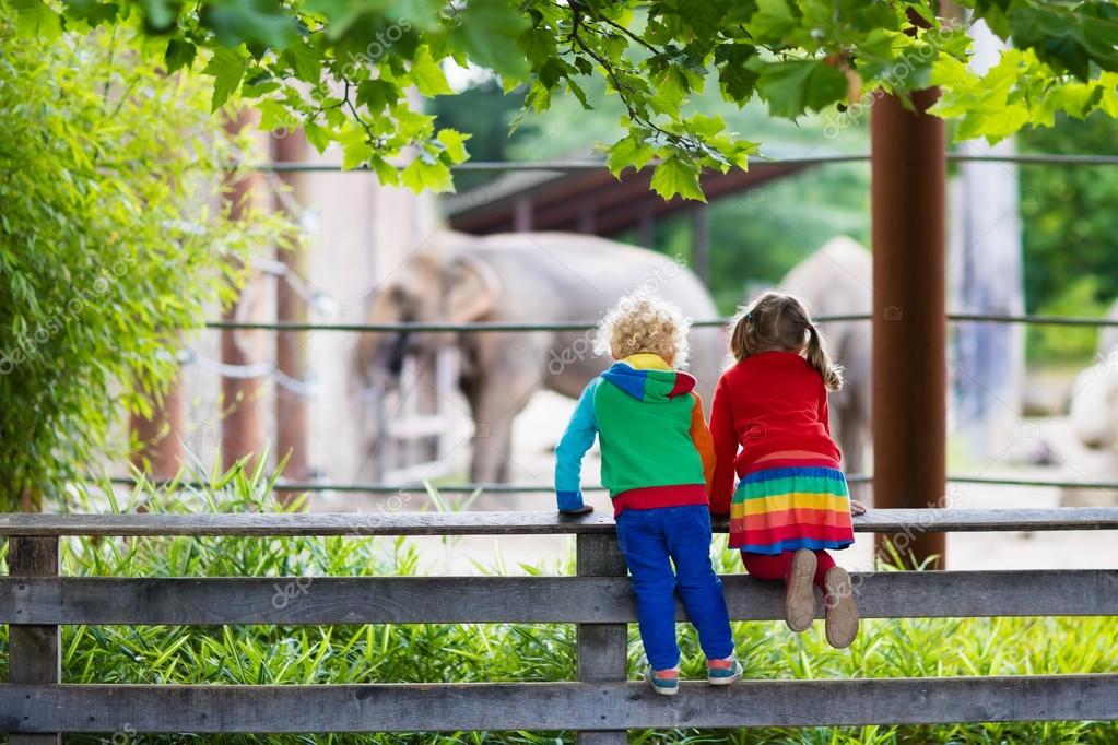 Kids watching elephant at the zoo Stock Photo by ©FamVeldman 119874026