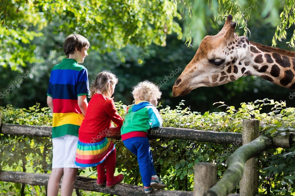 42 best ideas for coloring | Zoo Animals Pictures For Kids