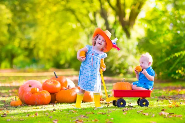 Wheel barrow Stock Photos, Royalty Free Wheel barrow Images ...