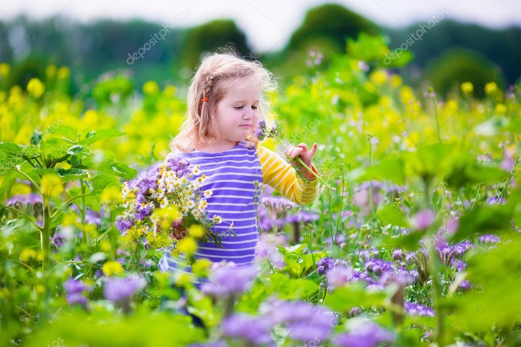 Little girl picking wild flowers in a field Stock Photo by ©FamVeldman ...