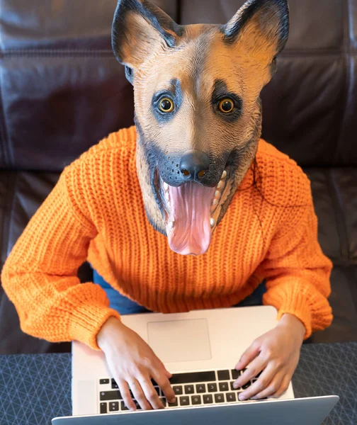 Comfort Dog Call Center