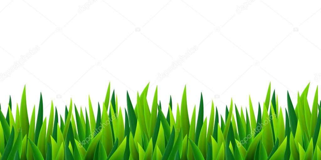 Frontera pasto verde — Vector de stock © sunnysmilestock_ #72598863