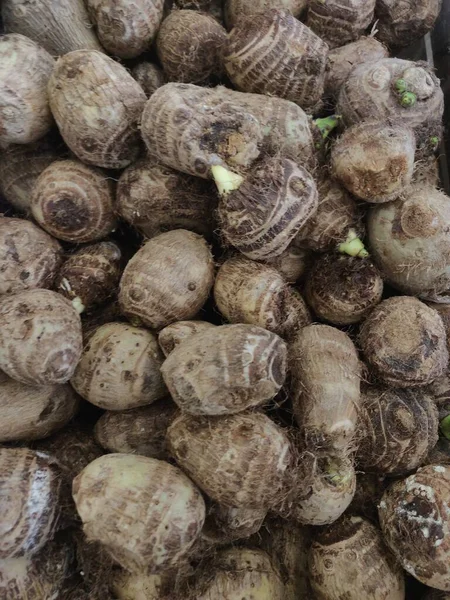 Edible starchy corm Stock Photos & Royalty-Free Images | Depositphotos