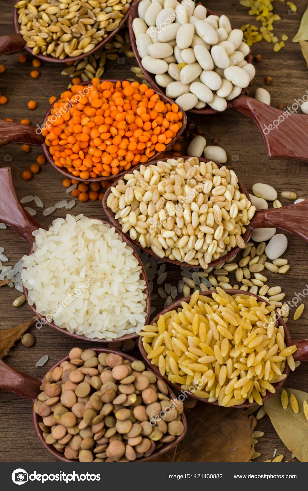 Grains And Cereals Food Group