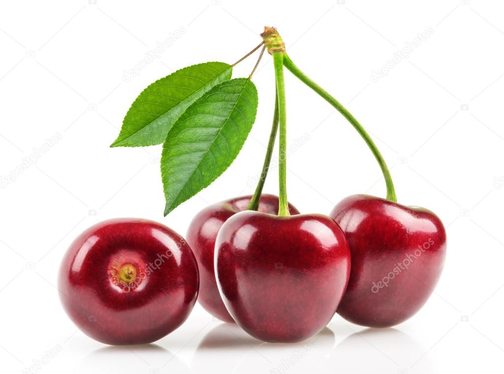 Cherries isolated Stock Photo by ©Ovydyborets 54585797