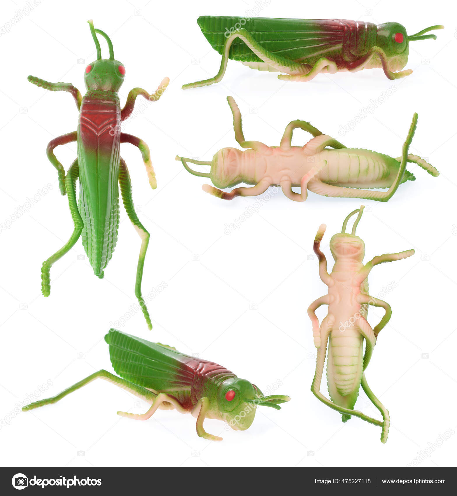 Set Grasshopper Plastic Play Toy Isolated White Background Stock Photo ...