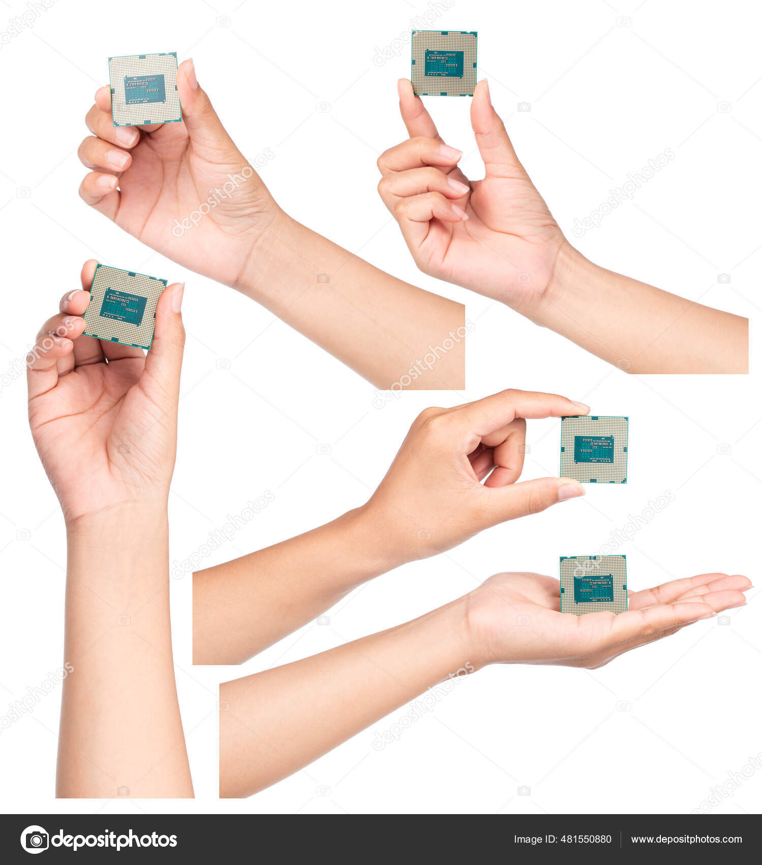 Set Hand Holding Cpu Computer Isolated White Background — Stock Photo ...