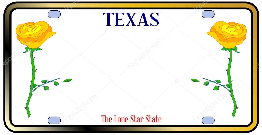 Blank Texas License