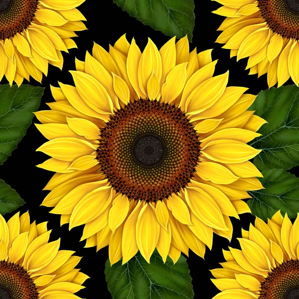 Sunflower Flower Hand Drawn Yellow Flower Side View Isolated White ...