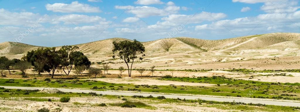Negev Desert in early spring, Israel — Stock Photo © alefbet #102265548