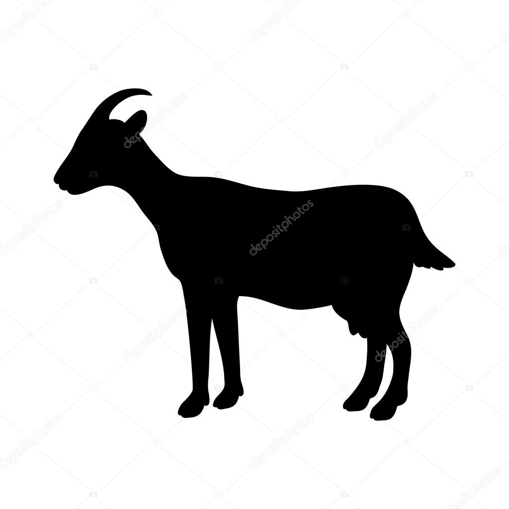 Silueta de chivo — Vector de stock #59734967 — Depositphotos
