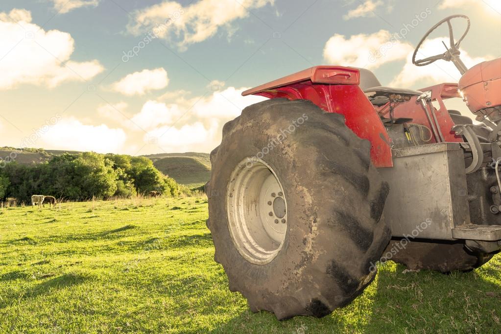 Tractor en el campo: fotografía de stock © dececim #83267948 ...