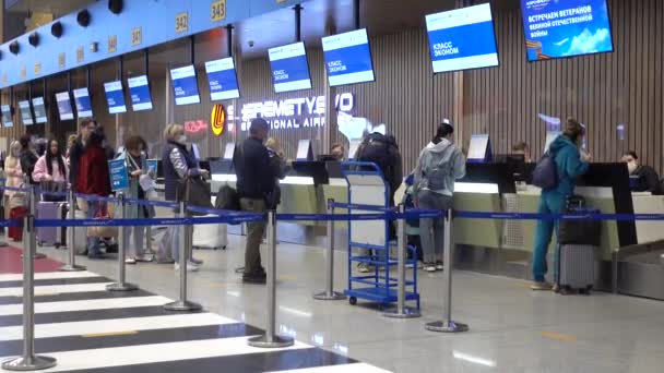 Passenger Check Counters Sheremetyevo Airport Russia Moscow June 2021 ...