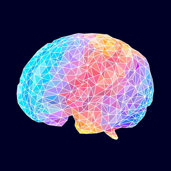 Colorful human brain with trees — Stock Vector © abstract412 #139727560