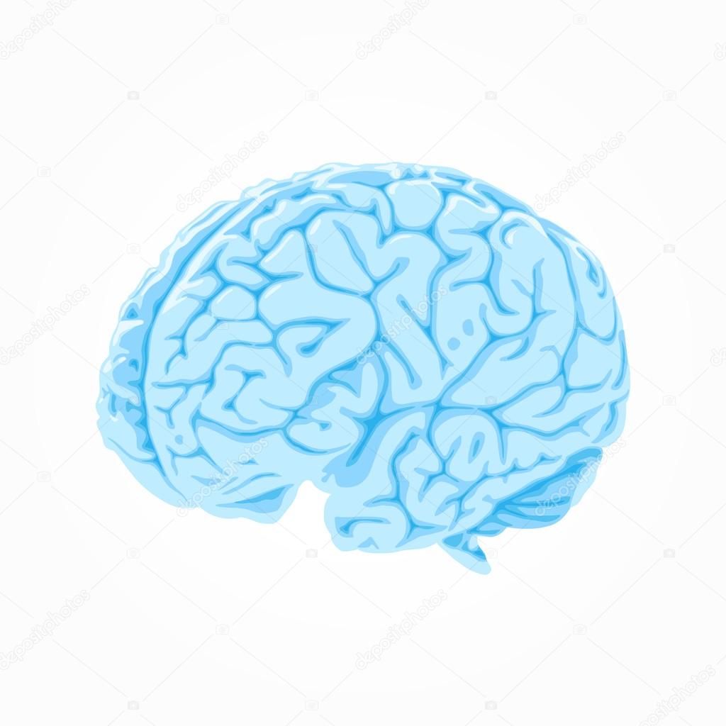 Blue brain icon — Stock Vector © vlad210498 #54572875