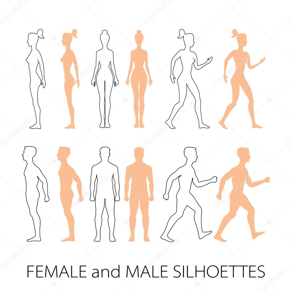 Male female silhouettes front, back and side. Vector illustration ...