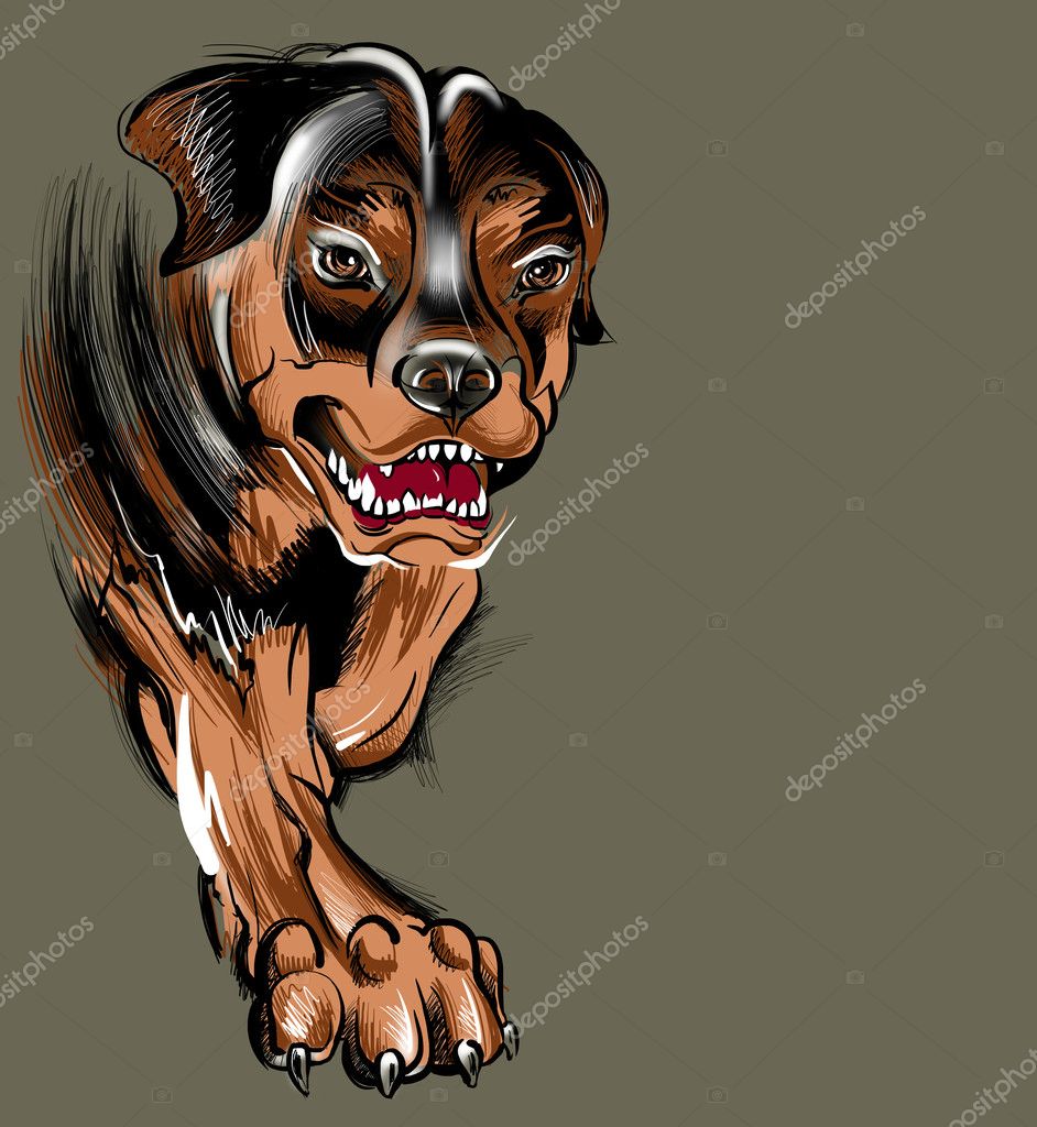 Aggressive Dog Drawing