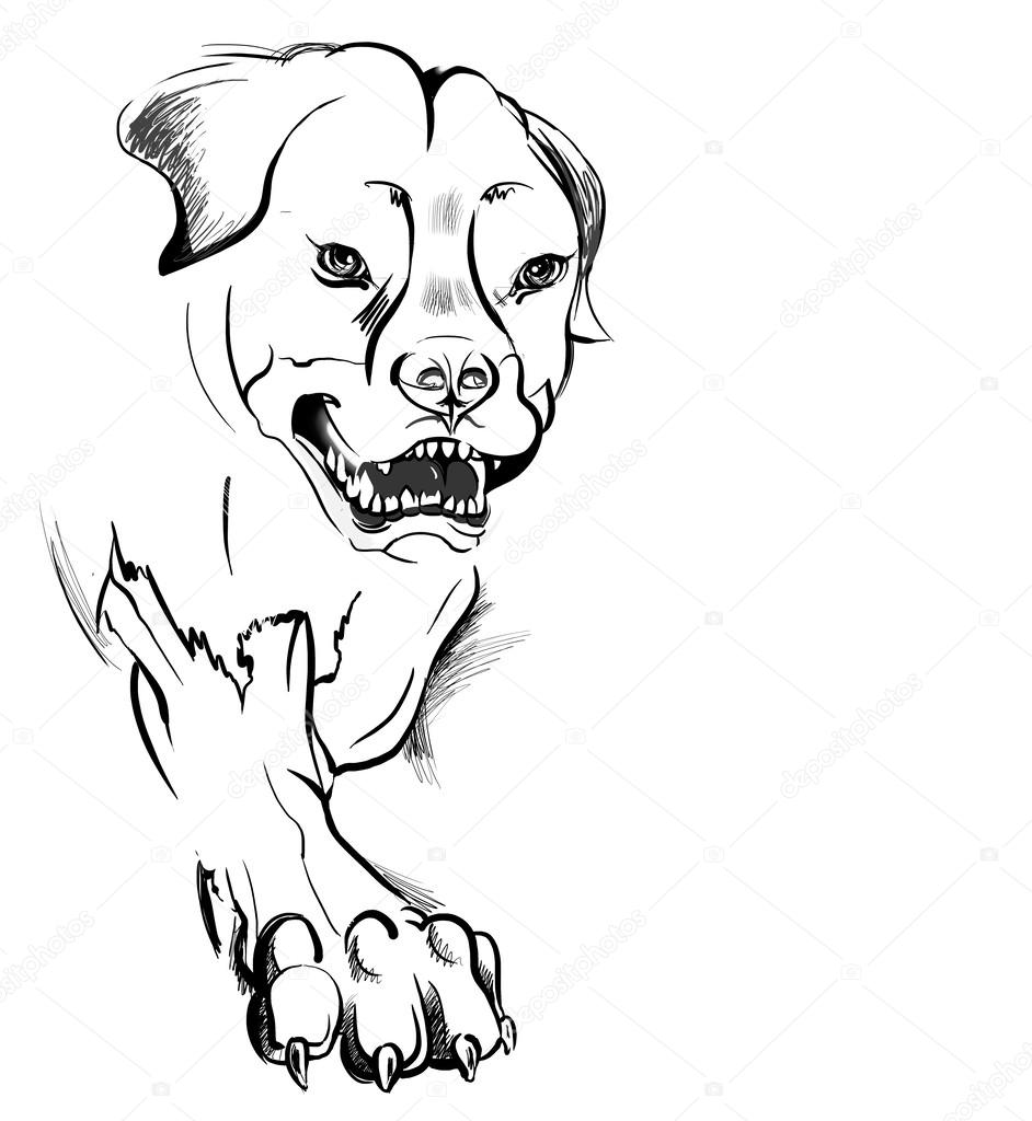 Large and aggressive dog Stock Photo by ©allween 61547857