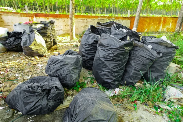 Garbage bag Images - Search Images on Everypixel