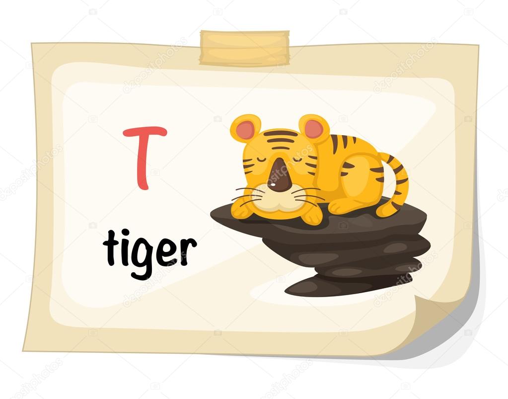 Animal alphabet letter T for tiger illustration vector Stock Vector ...
