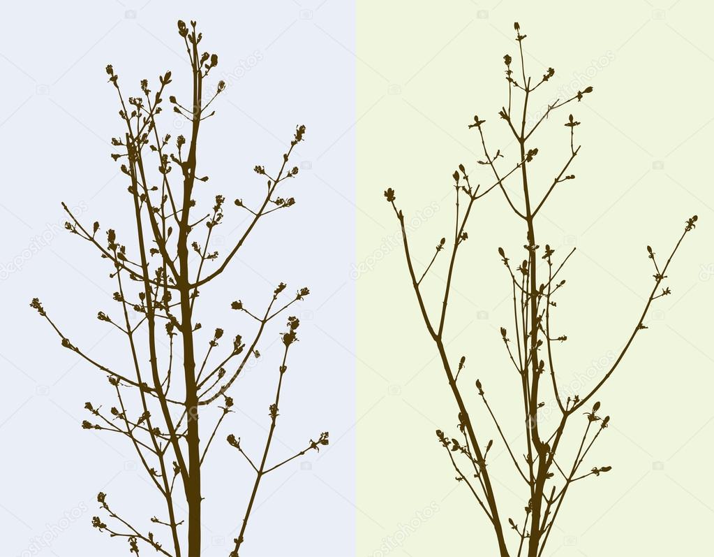Twigs of the young trees — Stock Vector © chronicler101 #108122760