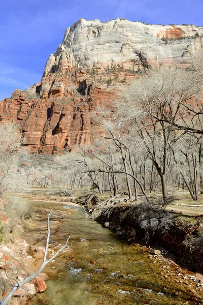 Red rock mountain landscape in Zion National Park, Utah — Stock Photo ...