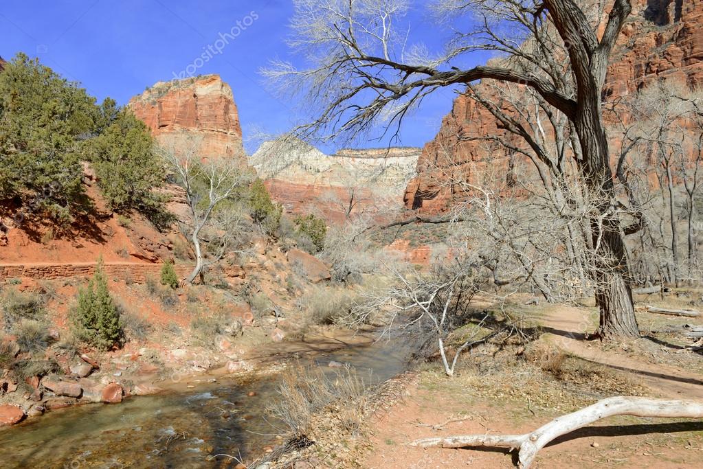 Red rock mountain landscape in Zion National Park, Utah — Stock Photo ...