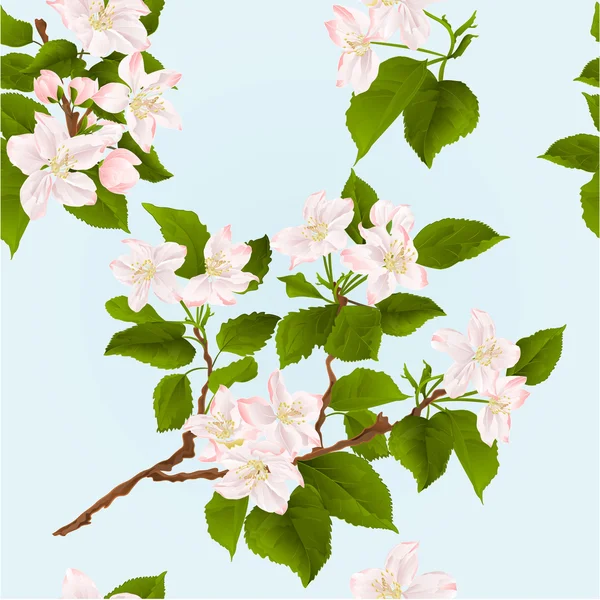 Seamless Texture Twig Apple Tree Flowers Blue Background Vintage Vector ...