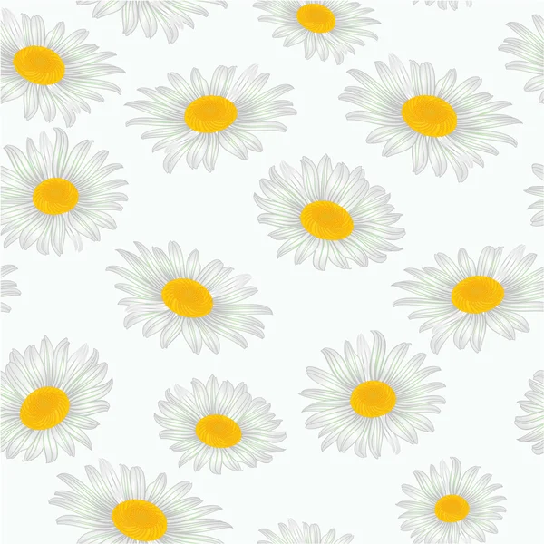 Horizontal daisy background Vector Art Stock Images | Depositphotos